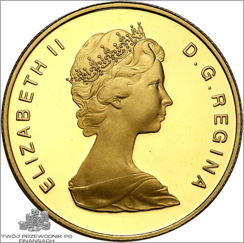 100 Dolar w Ile To Z Sprawd Grudzie 2023 Oszczednoscie pl