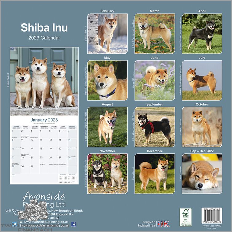 Kup Shiba Inu - Gdzie? Sprawdź! - czerwiec 2026 - Oszczednoscie.pl